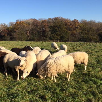 Award winning cheese and butter, gifts and accompaniments – Landmark ...